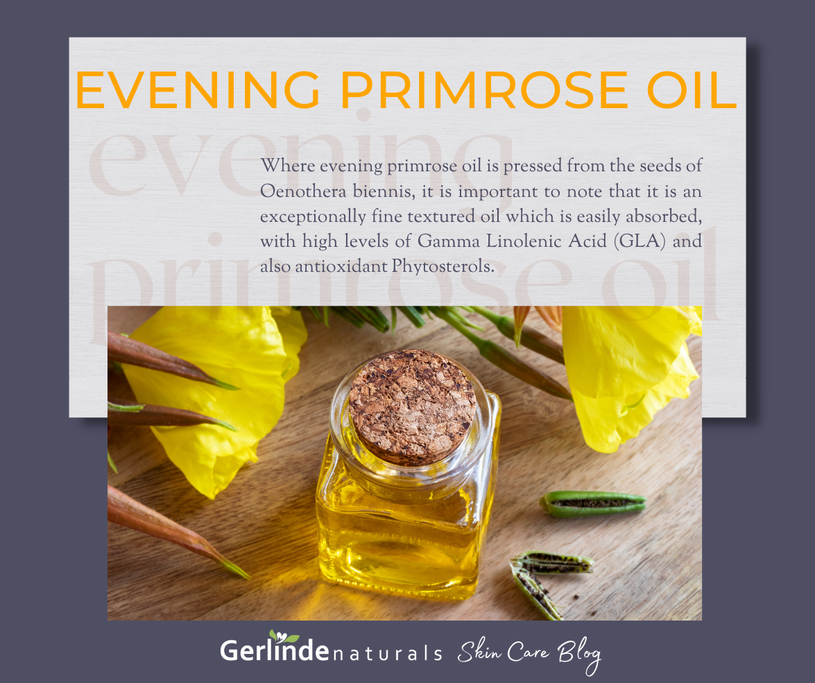 Evening Primrose Oil - gerlindenaturals.com